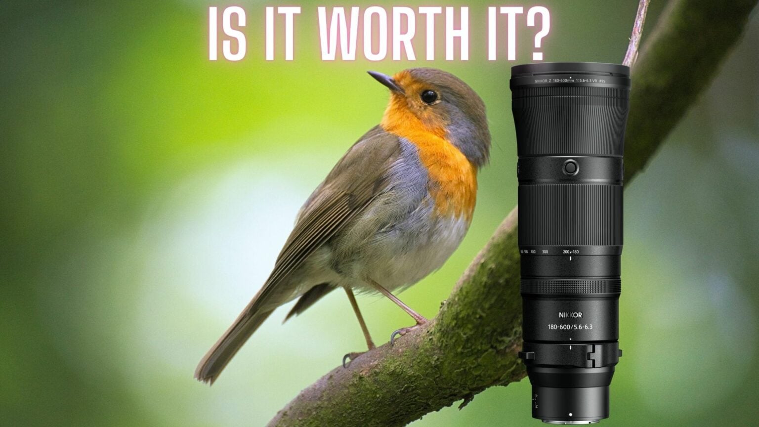 Nikon Z 180-600 Review : Exceptional performance at a price
